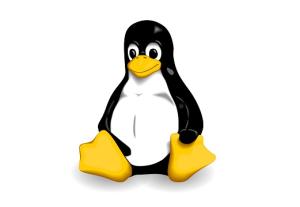 5 Best Sticky Note Apps for Linux (2024) | Beebom