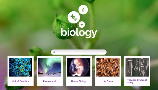 10 Linux Distros You Should Know About | Beebom