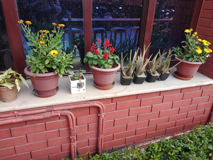 Redmi Note 5 Pro Camera Review: Decent Camera on a Budget | Beebom