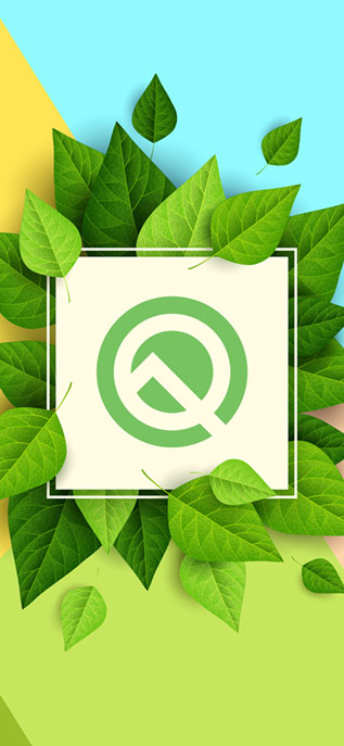Download these Stunning Android Q Wallpapers 'Made by Beebom'