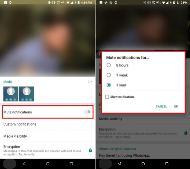 How to Customize Whatsapp Notification (Guide) | Beebom