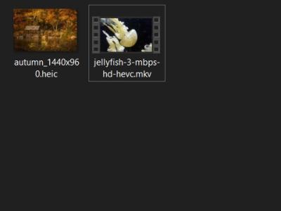 How to Open HEIC, HEIF and HEVC Files on Windows 10 For Free | Beebom