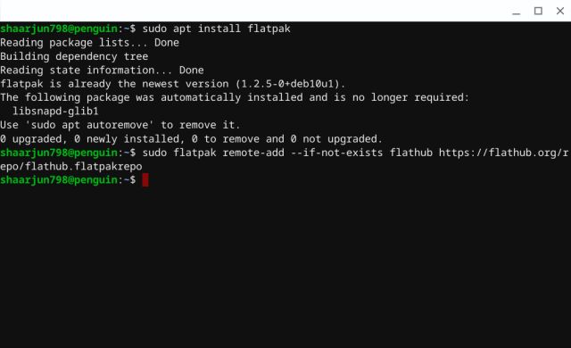 How to Install Flatpak and Snap Store in Linux on Chromebook | Beebom