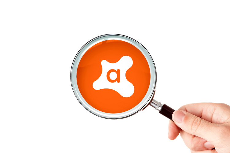 Avast Collected and Sold Users' Web Browsing Data: Report | Beebom