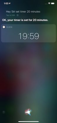 50 Cool Siri Tricks You Should Try in iOS and macOS (2020) | Beebom