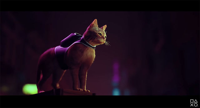 Stray Launched on Xbox: Price, Release Time, Download Size & More | Beebom