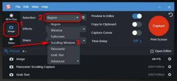 How to Take a Scrolling Screenshot on Windows 10 | Beebom