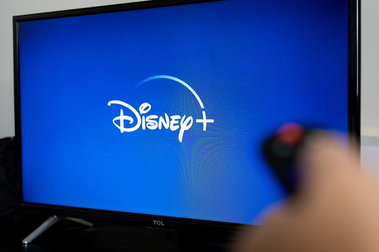 Disney Plus Password Sharing Rules Explained | Beebom