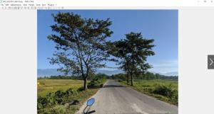 12 Best Photo Viewers for Windows 10 [Free and Paid] | Beebom