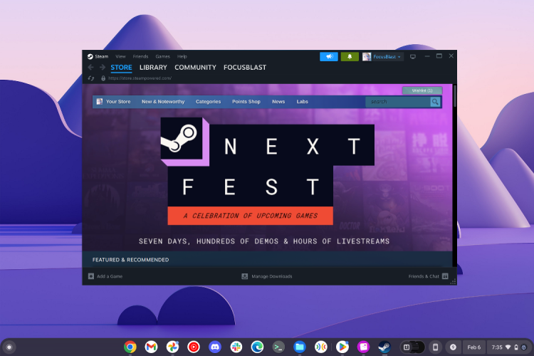 How to Install Steam Games on Chromebook in 2025 | Beebom
