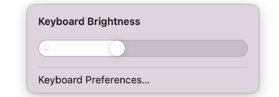 How to Adjust Keyboard Brightness in M1 MacBook | Beebom