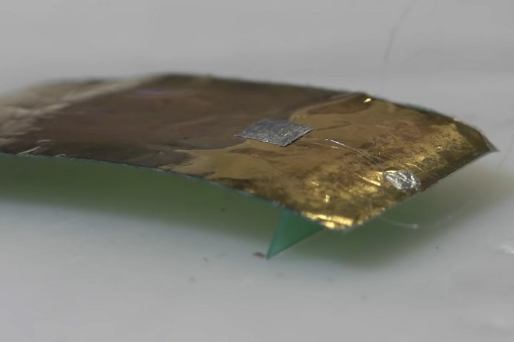 Researchers Built a Tiny Cockroach-Like Robot That Cannot be Squashed ...