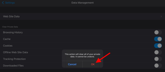 How to Clear Cache and Cookies on iPad (iPadOS 15) | Beebom