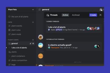 What is Discord Canary and How to Download It | Beebom