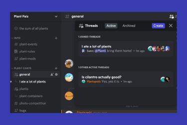 What is Discord Canary and How to Download It | Beebom