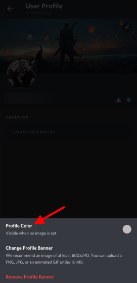 How to Customize Your Discord Profile on PC and Mobile | Beebom