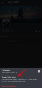 How to Customize Your Discord Profile on PC and Mobile | Beebom