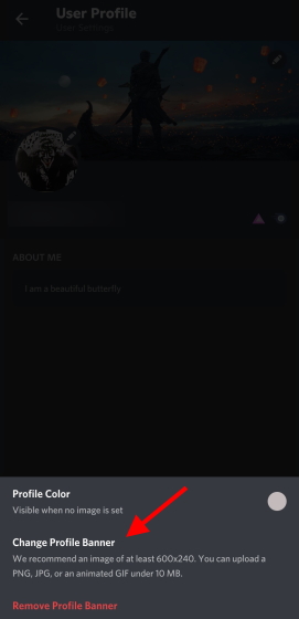 How to Customize Your Discord Profile on PC and Mobile | Beebom