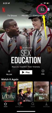10 Tips and Tricks to Enhance Your Netflix Mobile Experience | Beebom