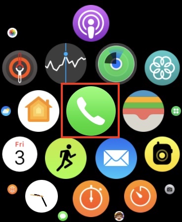 How to Make a FaceTime Call on Apple Watch in 2021 | Beebom