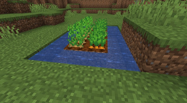How to Get and Plant Seeds in Minecraft | Beebom