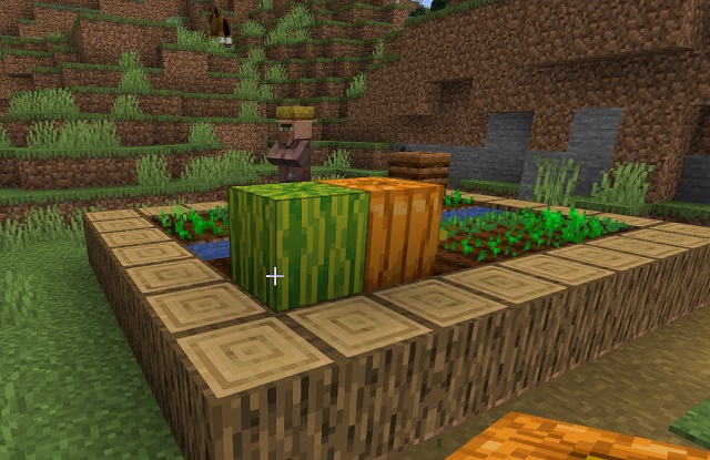 How to Get and Plant Seeds in Minecraft | Beebom