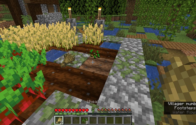 How to Plant Seeds and Grow Crops in Minecraft (2022 Guide) | Beebom
