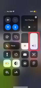 iPhone Volume Buttons Not Working? Try These Fixes! | Beebom