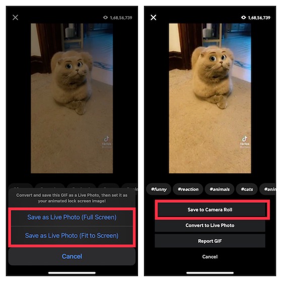 How to Set a GIF as a Live Wallpaper on Your iPhone [Guide] | Beebom