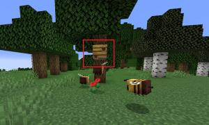 Minecraft Bees: Everything You Need to Know (2026) | Beebom