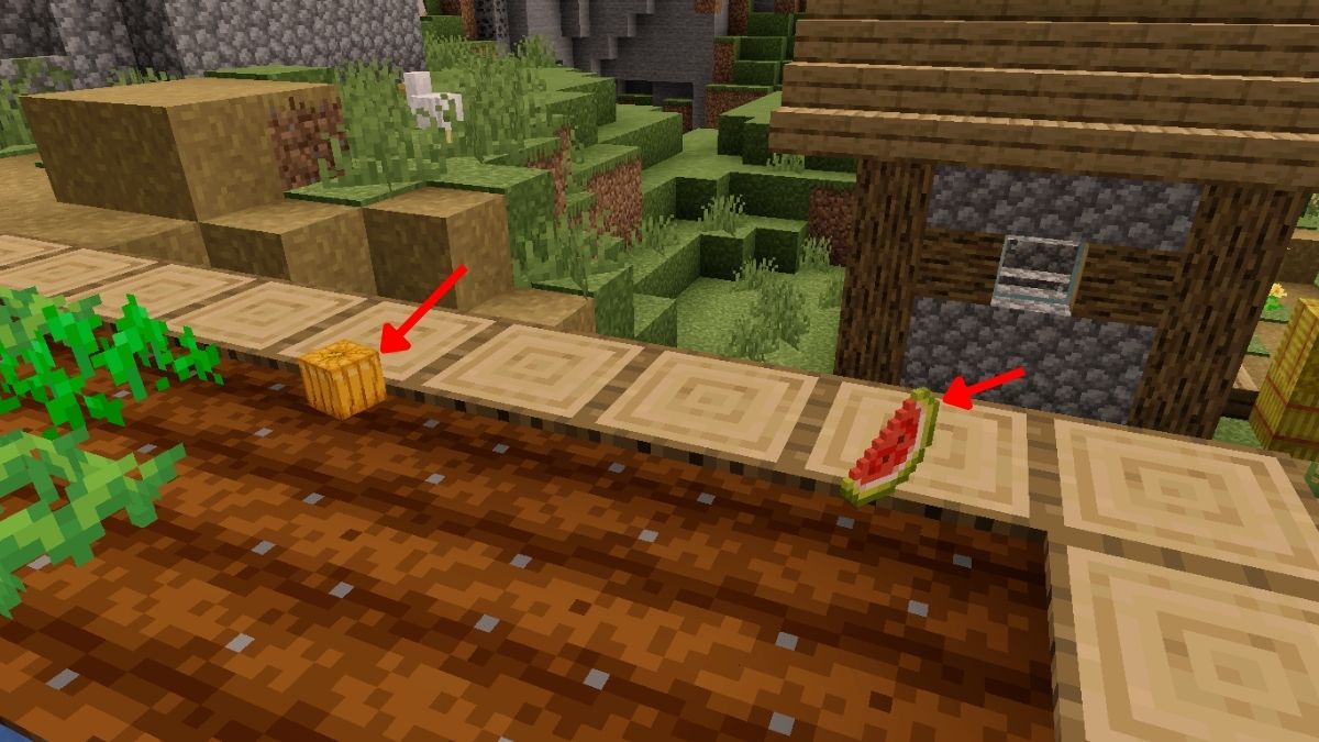 How to Get and Plant Seeds in Minecraft | Beebom