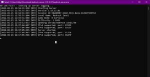 How to Make a Minecraft Bedrock Server (2022 Guide) | Beebom