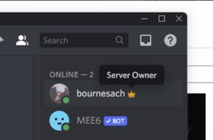 How to Remove the Crown Icon on Discord (2022 Guide) | Beebom