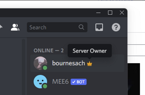 How to Remove the Crown Icon on Discord (2022 Guide) | Beebom