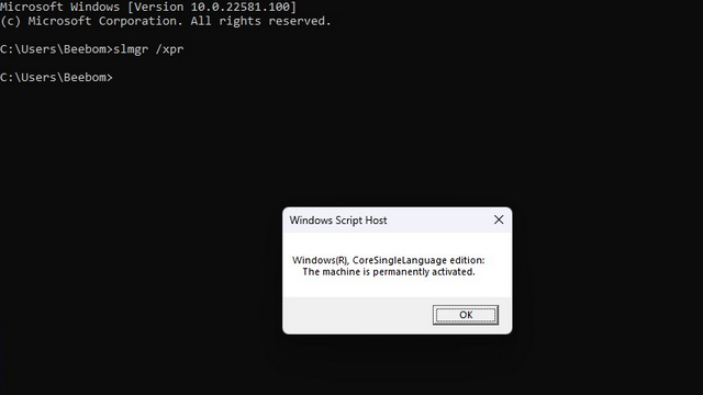 How to Check If Windows 11 Is Activated (2022 Guide) | Beebom