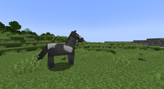 How to Tame a Horse in Minecraft (2022) | Beebom