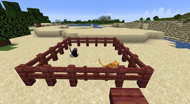 How to Breed Cats in Minecraft (2022) | Beebom