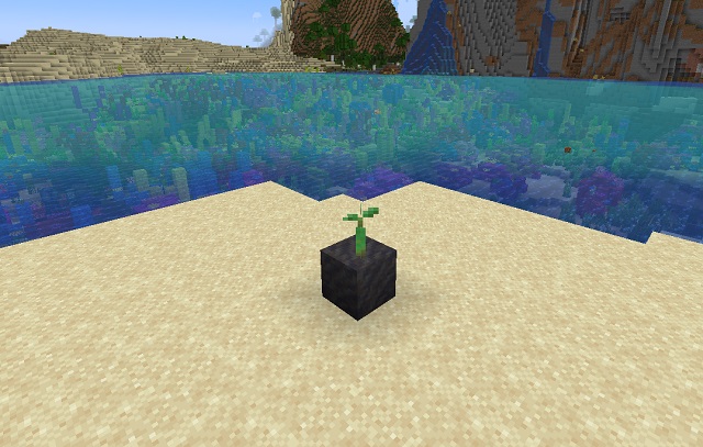 Mangrove Swamp in Minecraft: Everything You Need to Know (2022) | Beebom