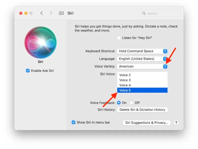 How to Use Gender Neutral Voice for Siri (2022) | Beebom