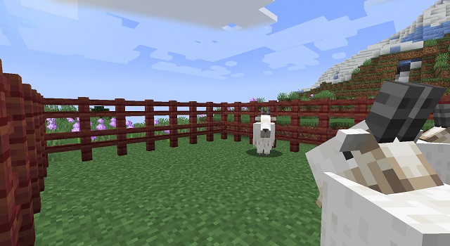 How to Get a Goat Horn in Minecraft (2022) | Beebom