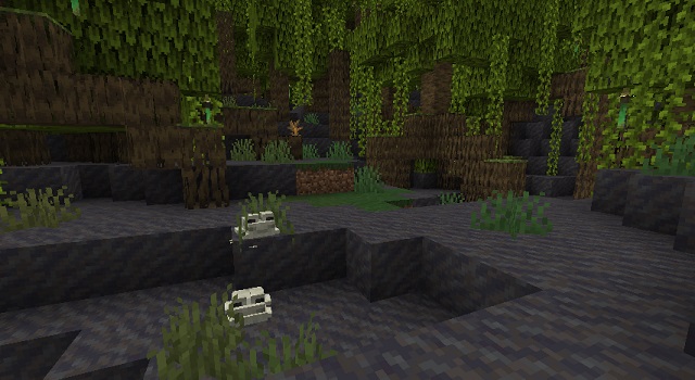 12 Best Mangrove Swamp Seeds for Minecraft 1.19 (June 2022) | Beebom
