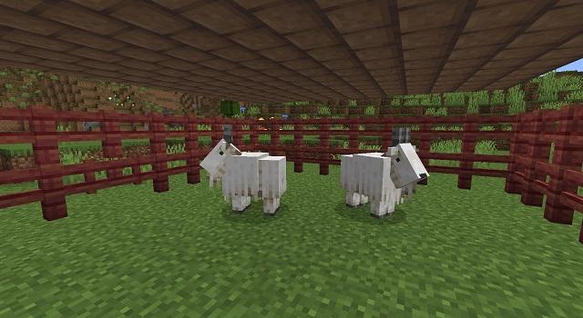 Minecraft Goats: Everything You Need to Know (2022) | Beebom