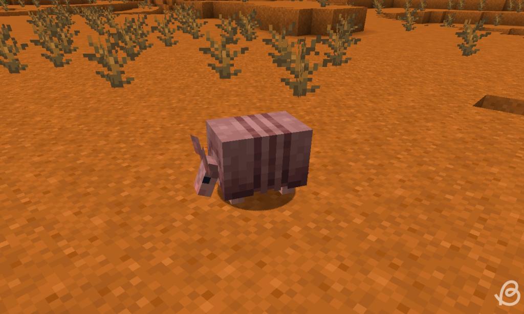 Minecraft Armadillo Guide: Spawn, Food, Breeding, and More | Beebom