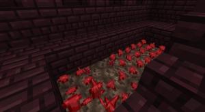 How to Find Nether Wart in Minecraft (2022) | Beebom