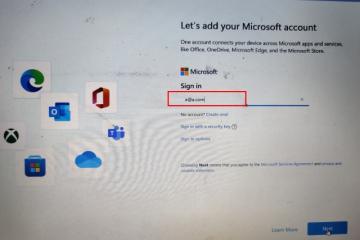 How to Create a Local Account on Windows 11 [5 Ways] | Beebom