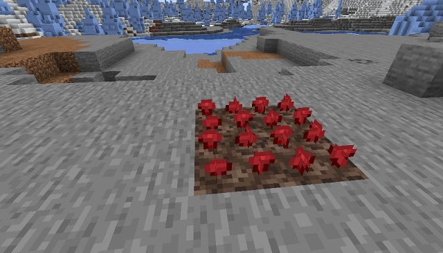 What is Nether Wart in Minecraft? All You Need to Know | Beebom