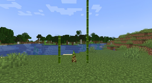 How to Make Bamboo Farm in Minecraft (2022 Guide) | Beebom