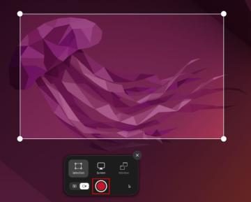 How to Record the Screen in Ubuntu (3 Easy Methods) | Beebom