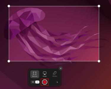 How to Record the Screen in Ubuntu (3 Easy Methods) | Beebom