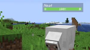 20 Best Minecraft HUD Mods | Beebom